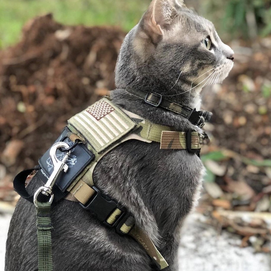 Vests / Harness – kiloninerpets